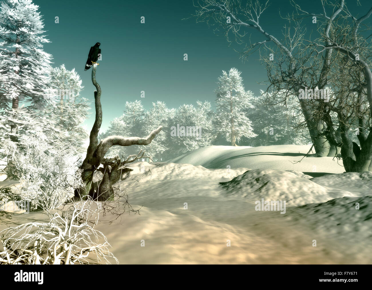 3d computer graphics of a winter landscape with bird of prey Stock ...