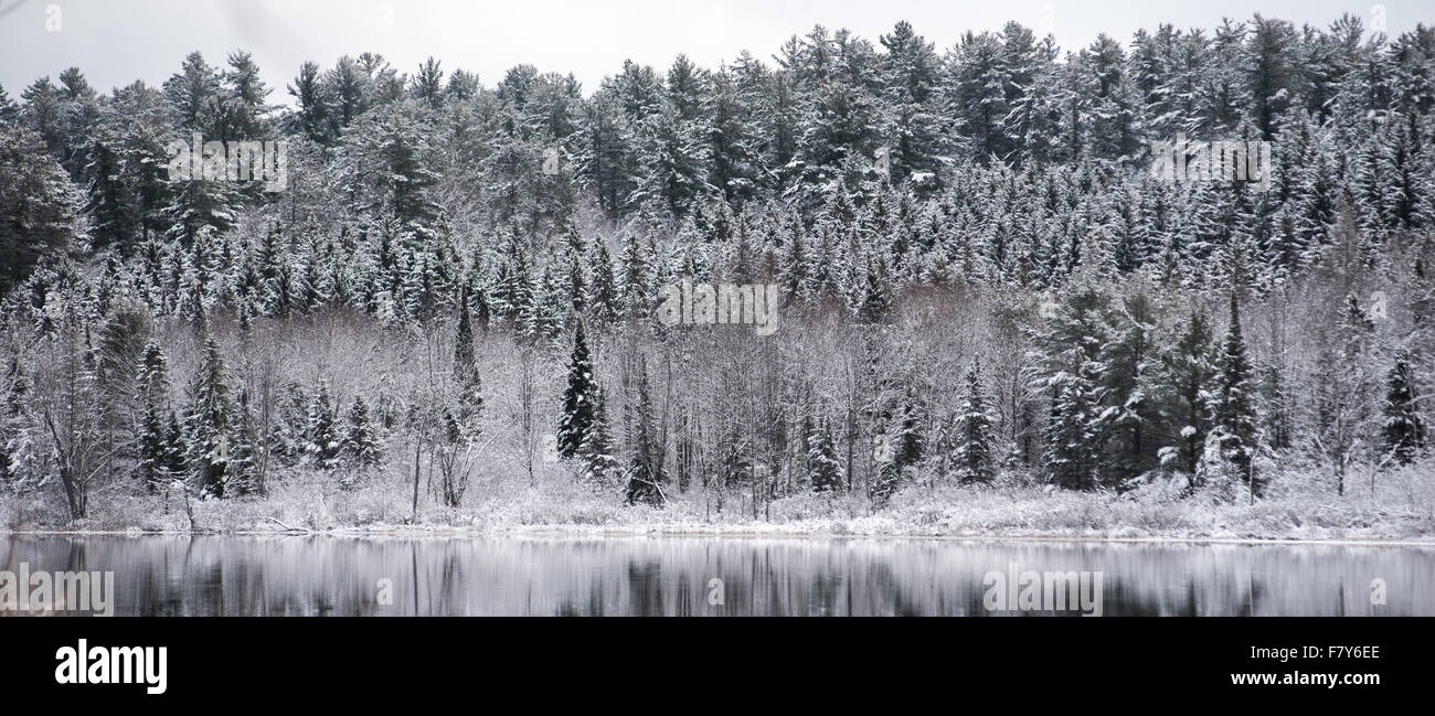 Still waters reflect winter forests at its edge. Light snow overcast ...