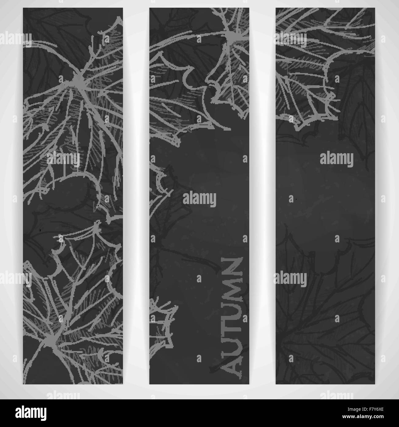 Design drawn maple leaves Black and White Stock Photos & Images - Alamy