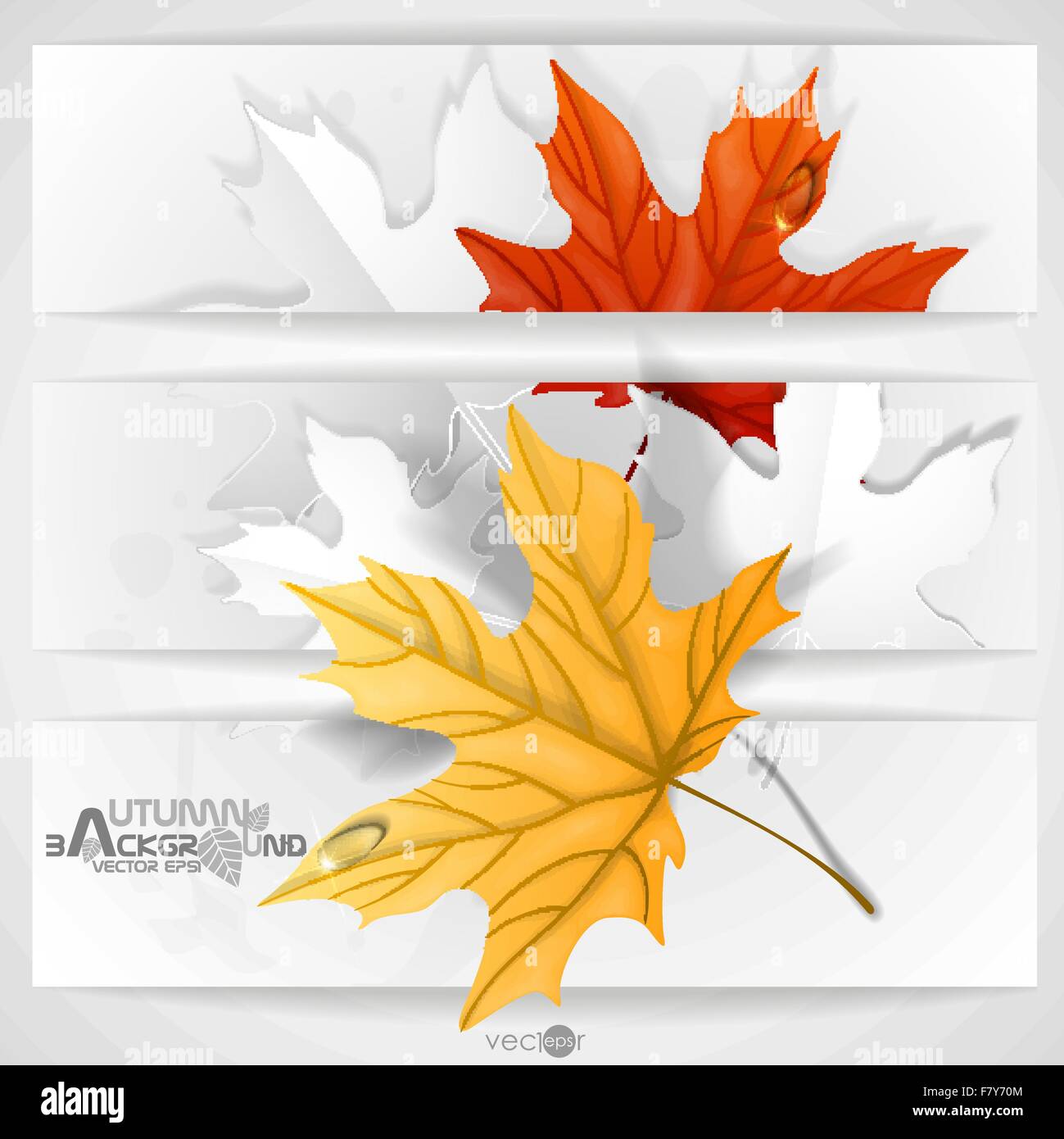 Yellow leaves autumn fall Stock Vector Images - Alamy