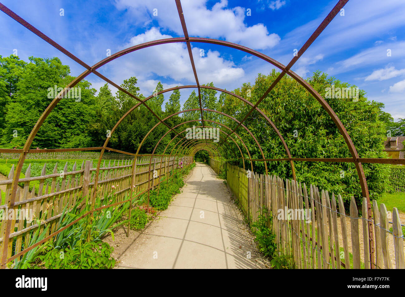 Walking path in Versailles gardens, Paris, France Stock Photo - Alamy