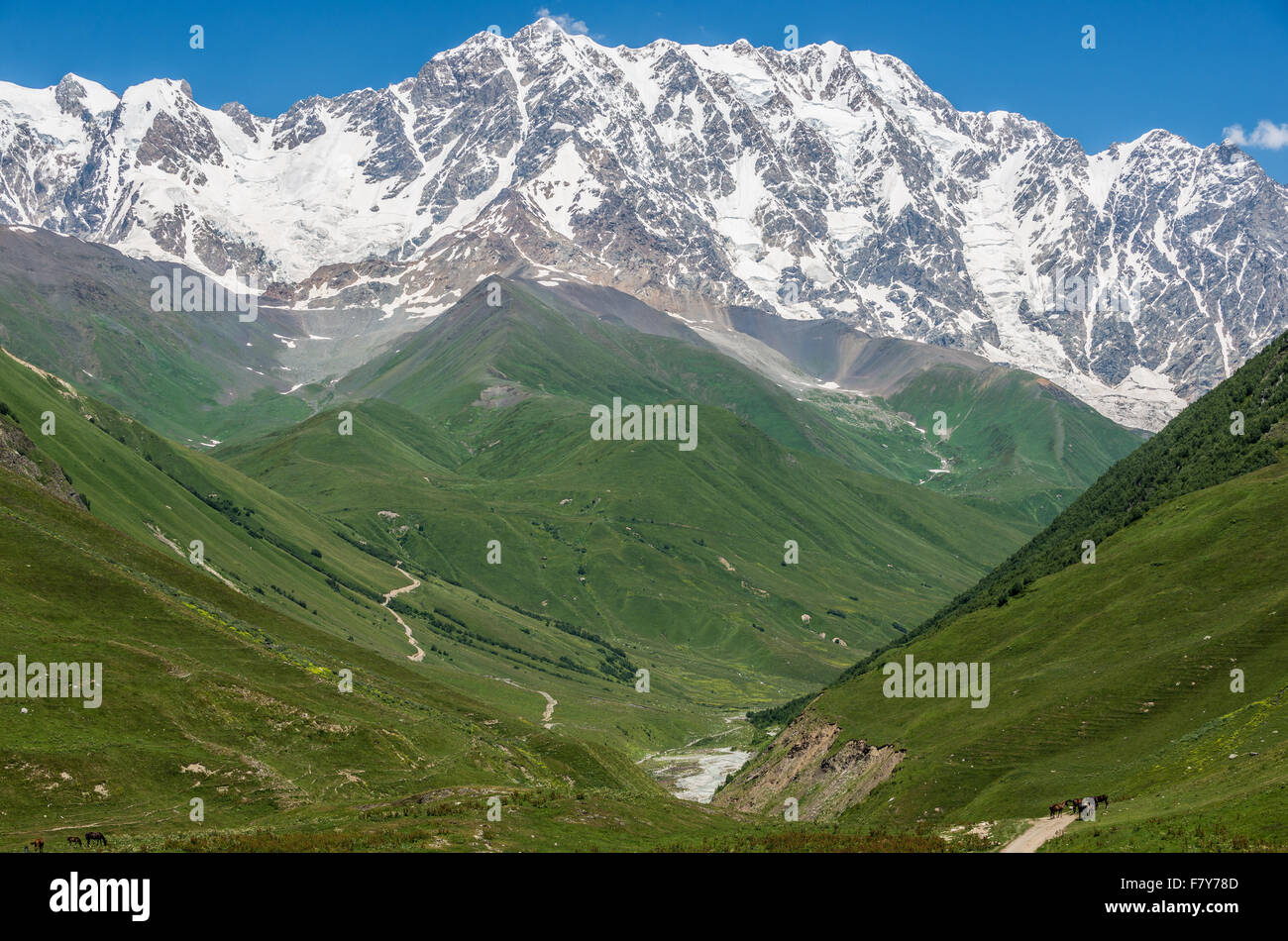 Shkhara mount seen from Zhibiani - one of four villages community ...