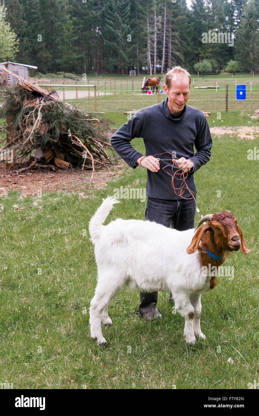 Man with goat hi-res stock photography and images - Alamy