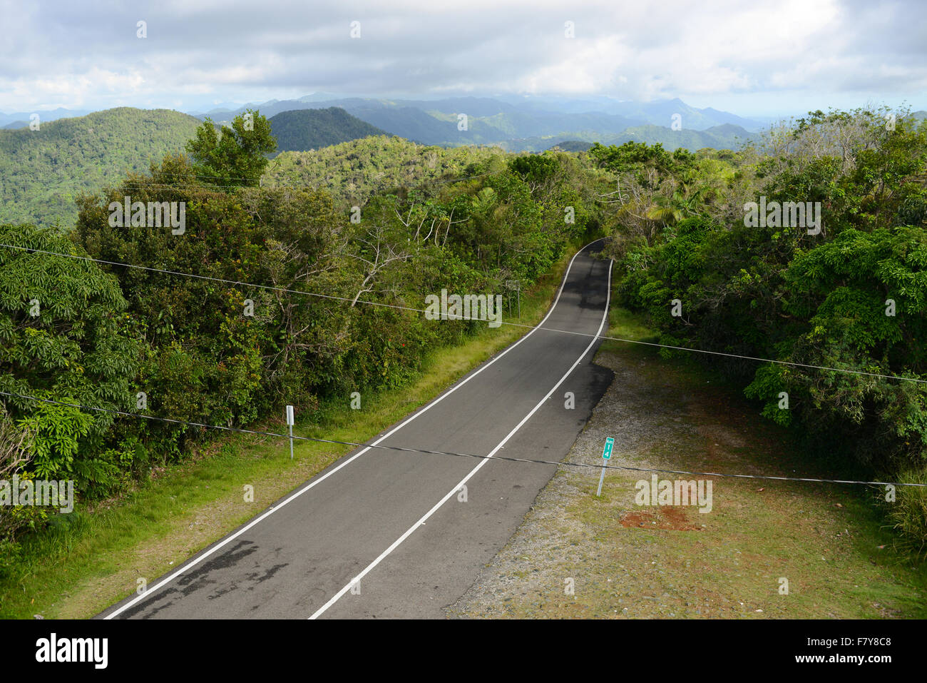 Road view from the Torre de Piedra (Stone Tower). Maricao, Puerto Rico ...