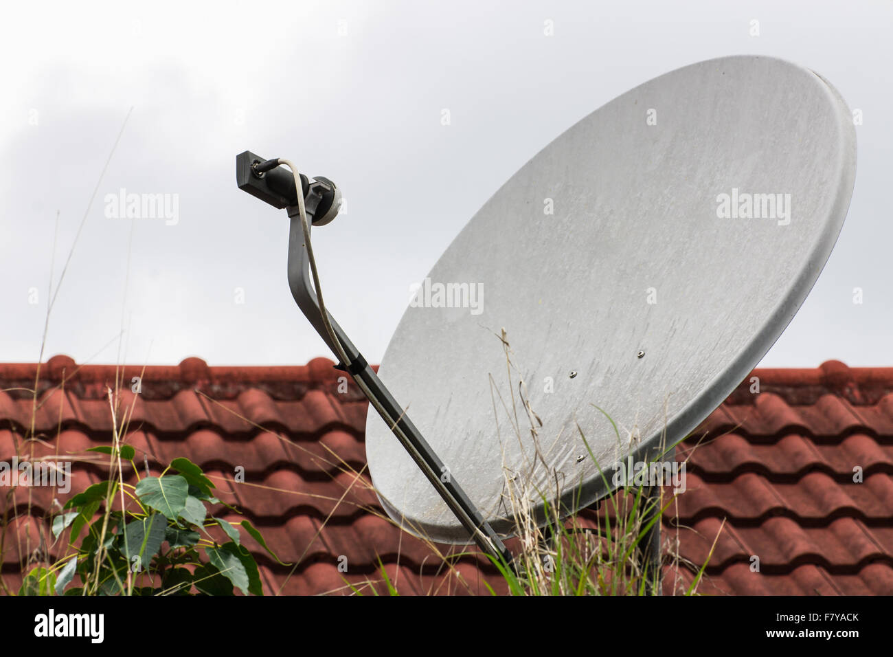 satellite dish on roof Stock Photo - Alamy