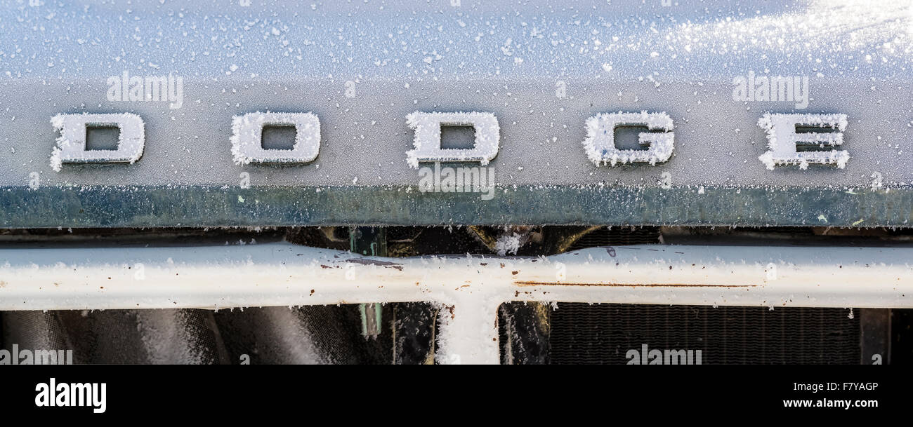 Retro Dodge Laderlogo Dodge Hood Nose Letter Emblems Vintage 1969 71