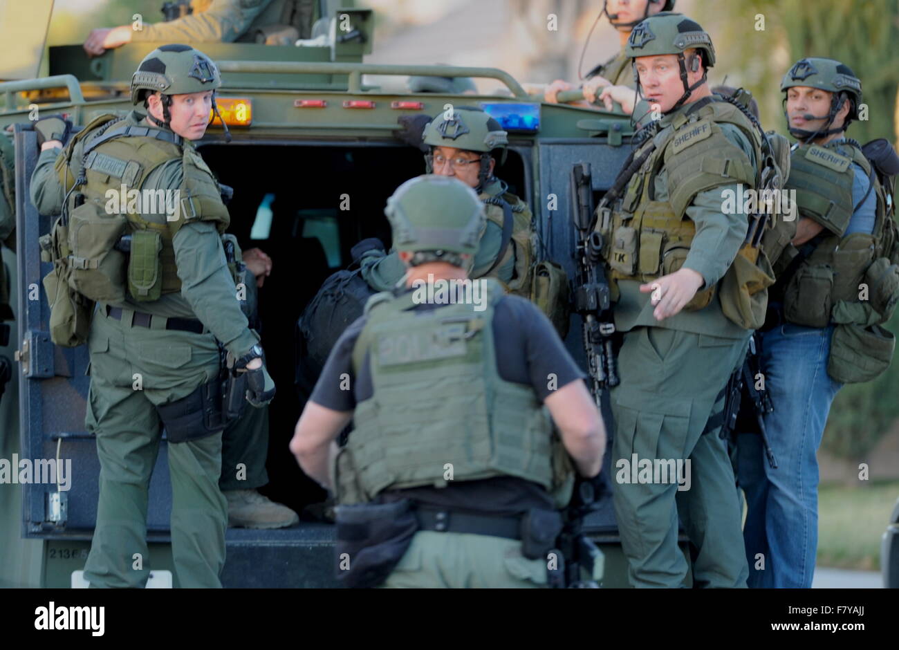 San Bernardino, California, USA. 2nd Dec, 2015. SWAT team members rush ...