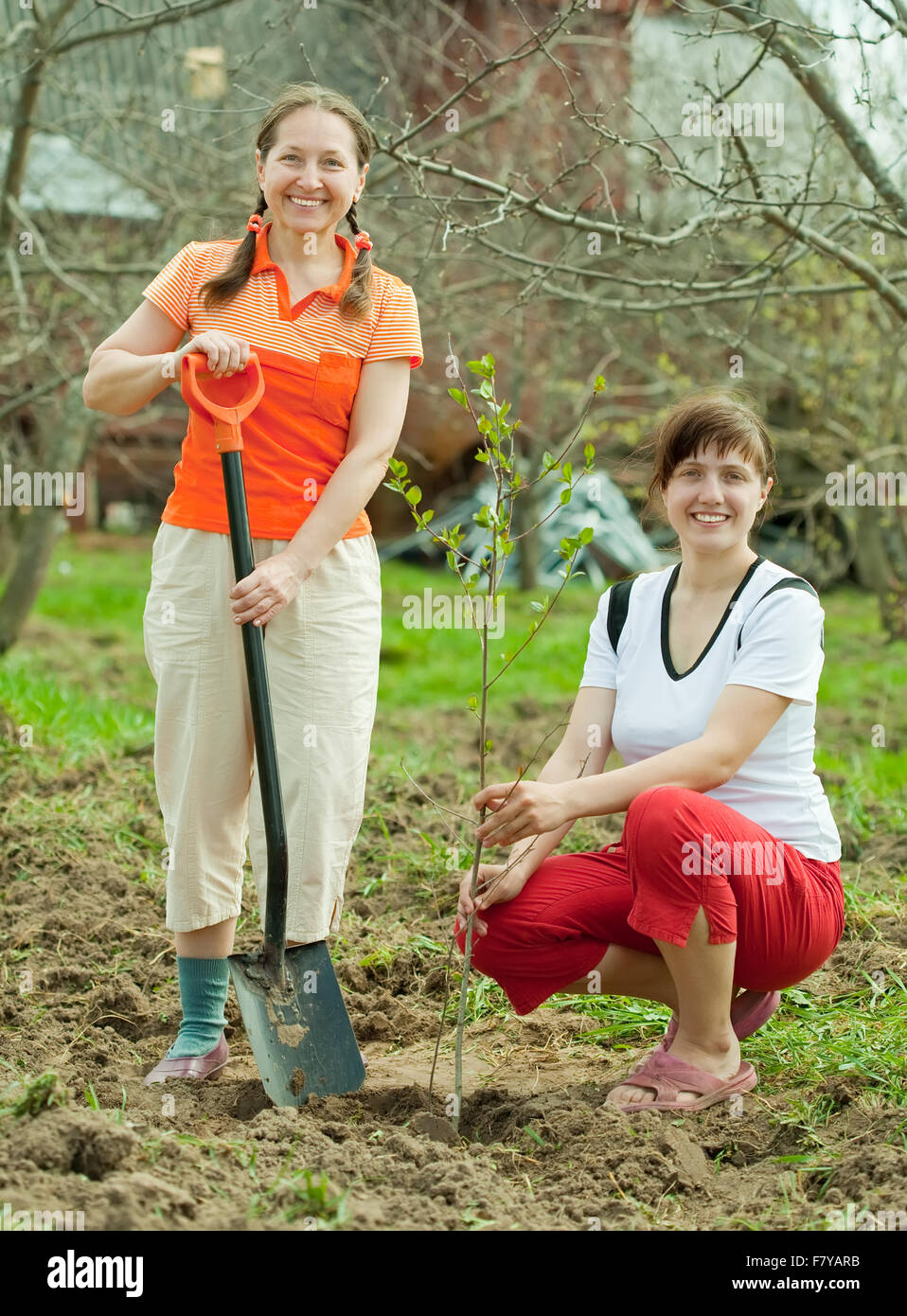 Happy women planting fruit tree at orchard in spring Stock Photo - Alamy