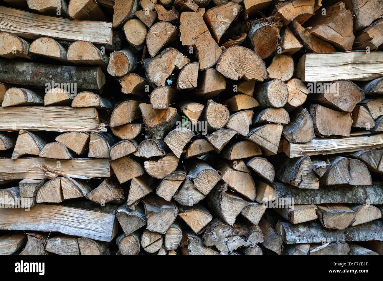 Stacked Firewood Bavaria Germany High Resolution Stock Photography and ...