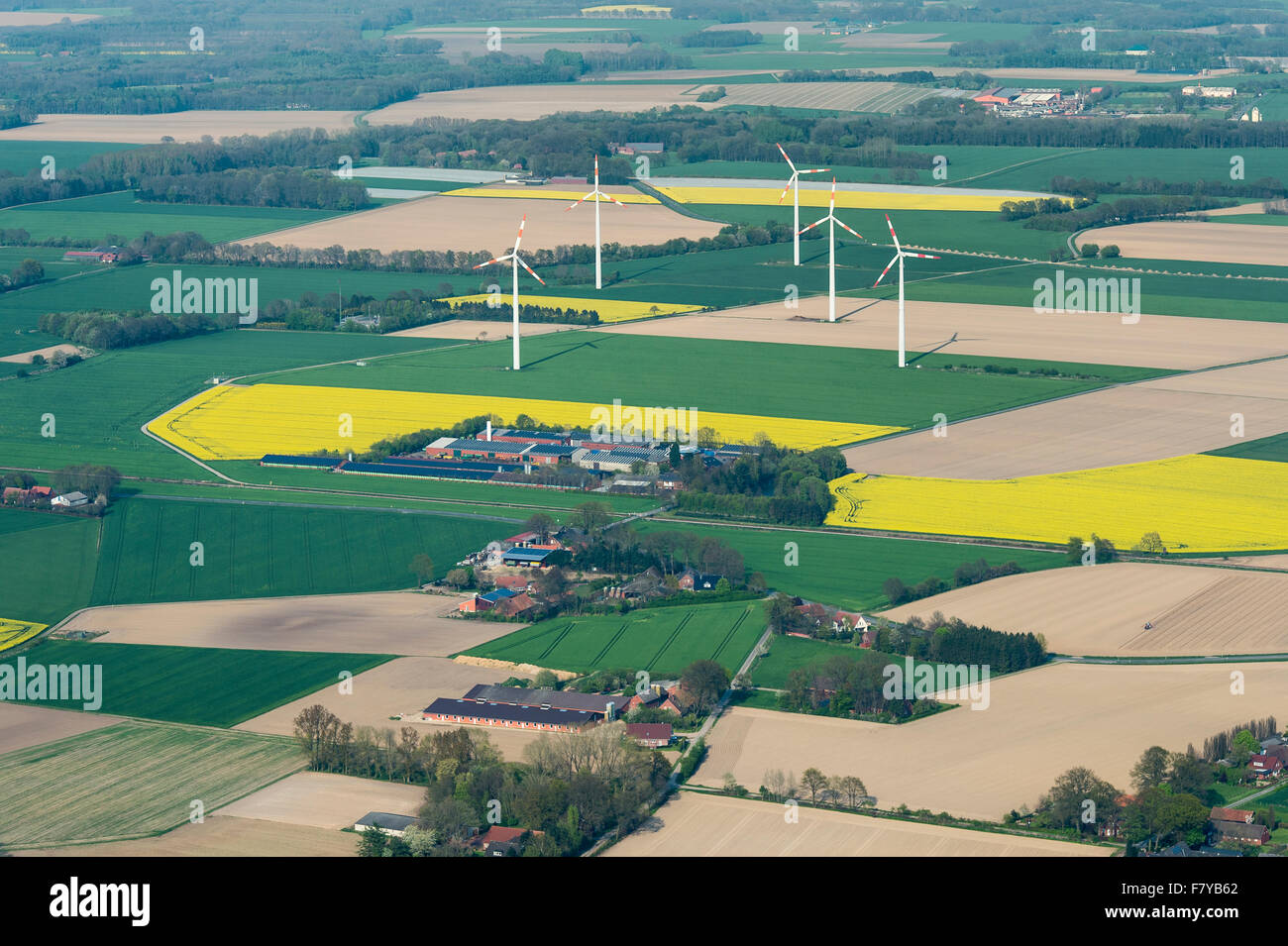 landscape near herrenholz, vechta district, niedersachsen, germany ...