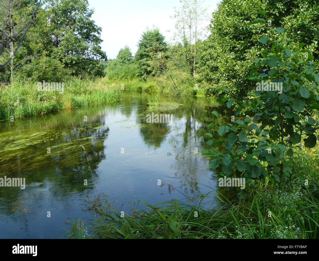 Landscape with river on background blue sky Stock Photo - Alamy