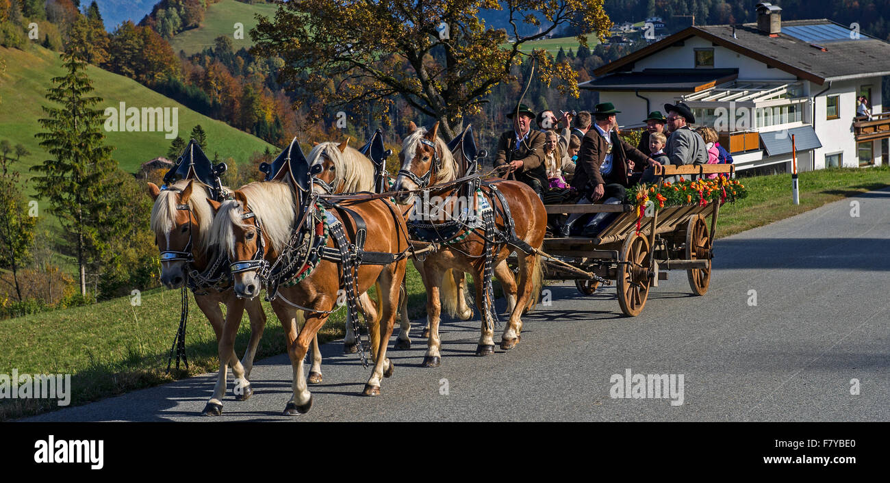 Leonhardiritt, horse procession, four-in-hand carriage, Hinterthiersee ...