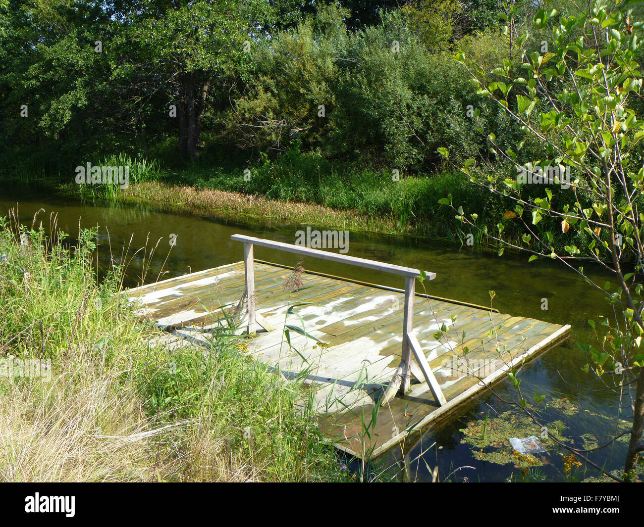 Wooden raft on river on background green tree Stock Photo - Alamy