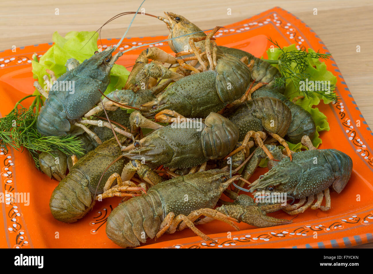 Raw Crayfish in the bowl with dill Stock Photo - Alamy