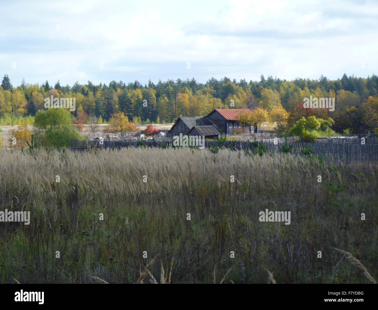 Rural landscape with village beside wood Stock Photo - Alamy