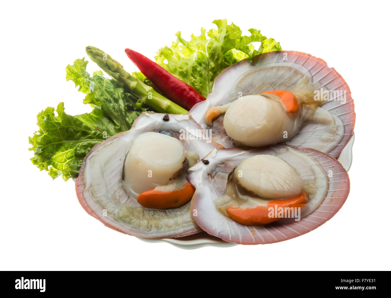 Raw fresh scallop ready for cooking Stock Photo - Alamy