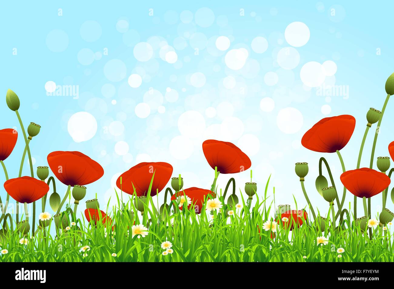 Plant wildflower flower Stock Vector Images - Alamy