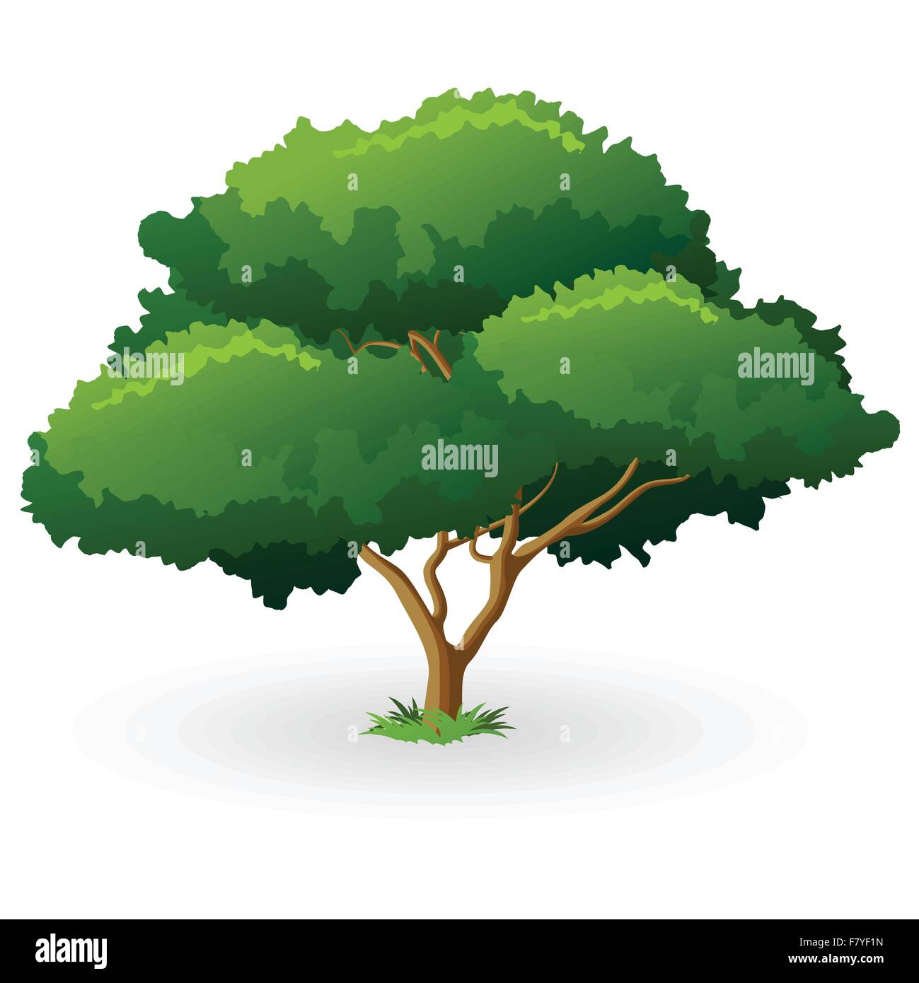 Nature conservation Cut Out Stock Images & Pictures - Alamy