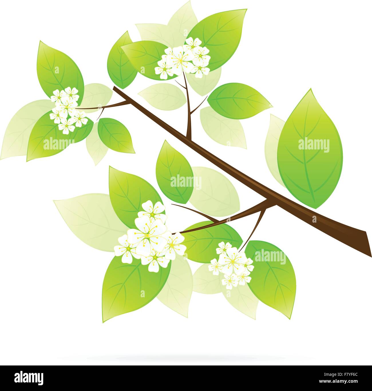 Green Tree Branch Icon Stock Vector Image & Art - Alamy