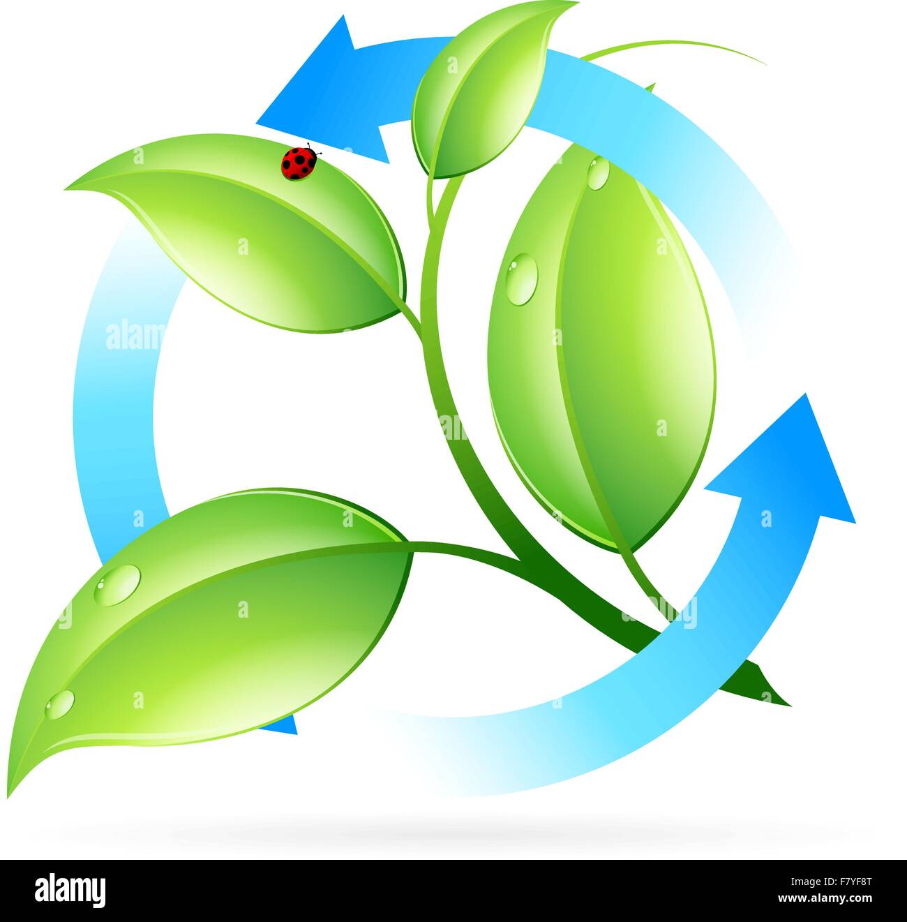 Green leaves icon Cut Out Stock Images & Pictures - Alamy