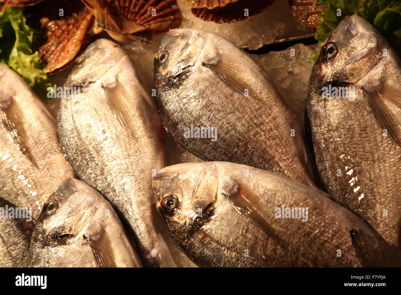 Campo della Pescheria. (Fish Market Venice Stock Photo - Alamy