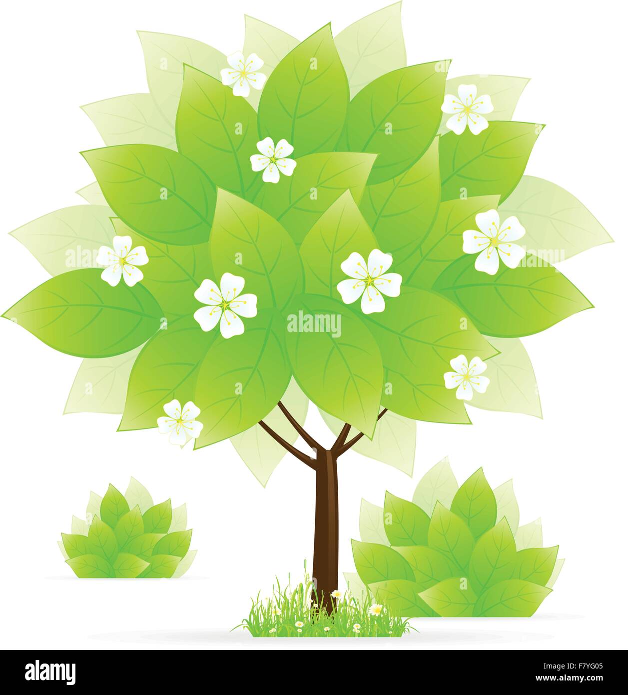 Bush grass Stock Vector Images - Alamy