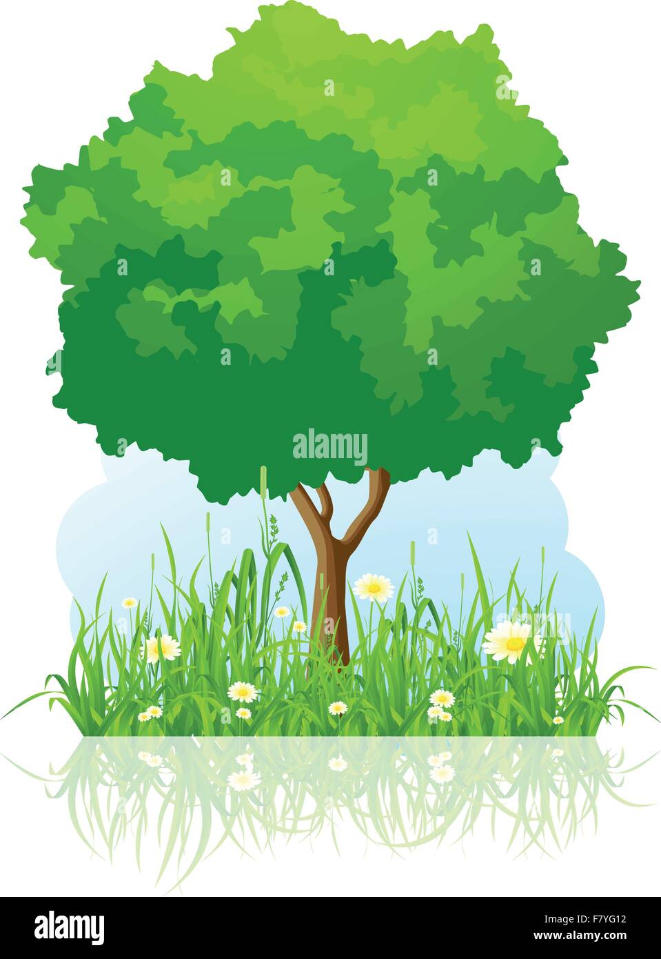 Isolated green tree background Stock Vector Image & Art - Alamy