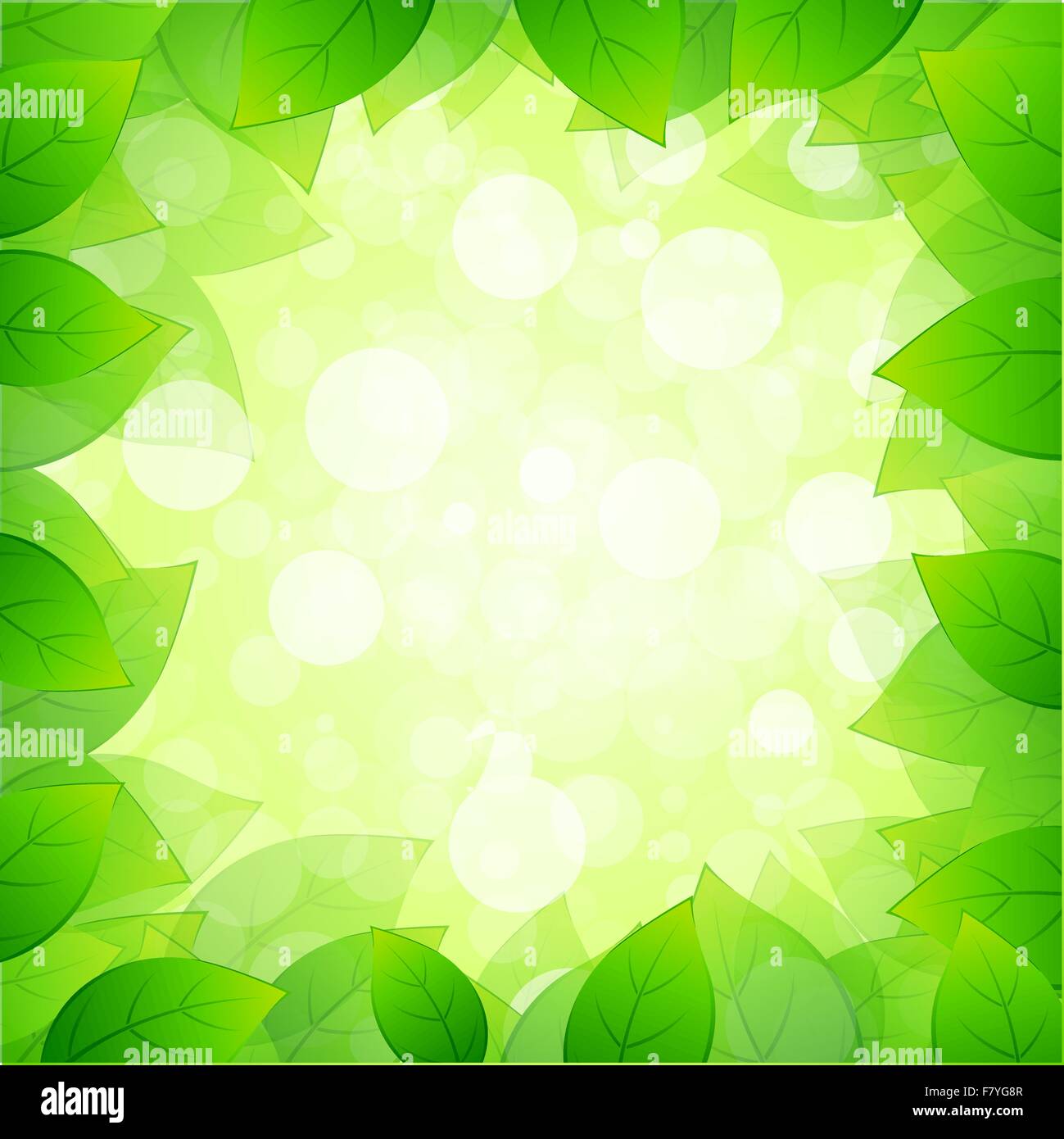 Framing leaves hi-res stock photography and images - Alamy