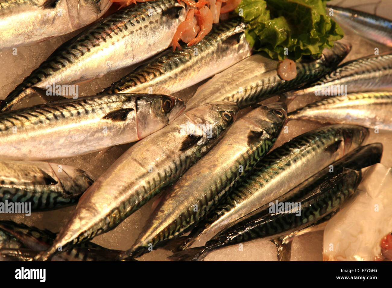 Campo della Pescheria. (Fish Market Venice Stock Photo - Alamy