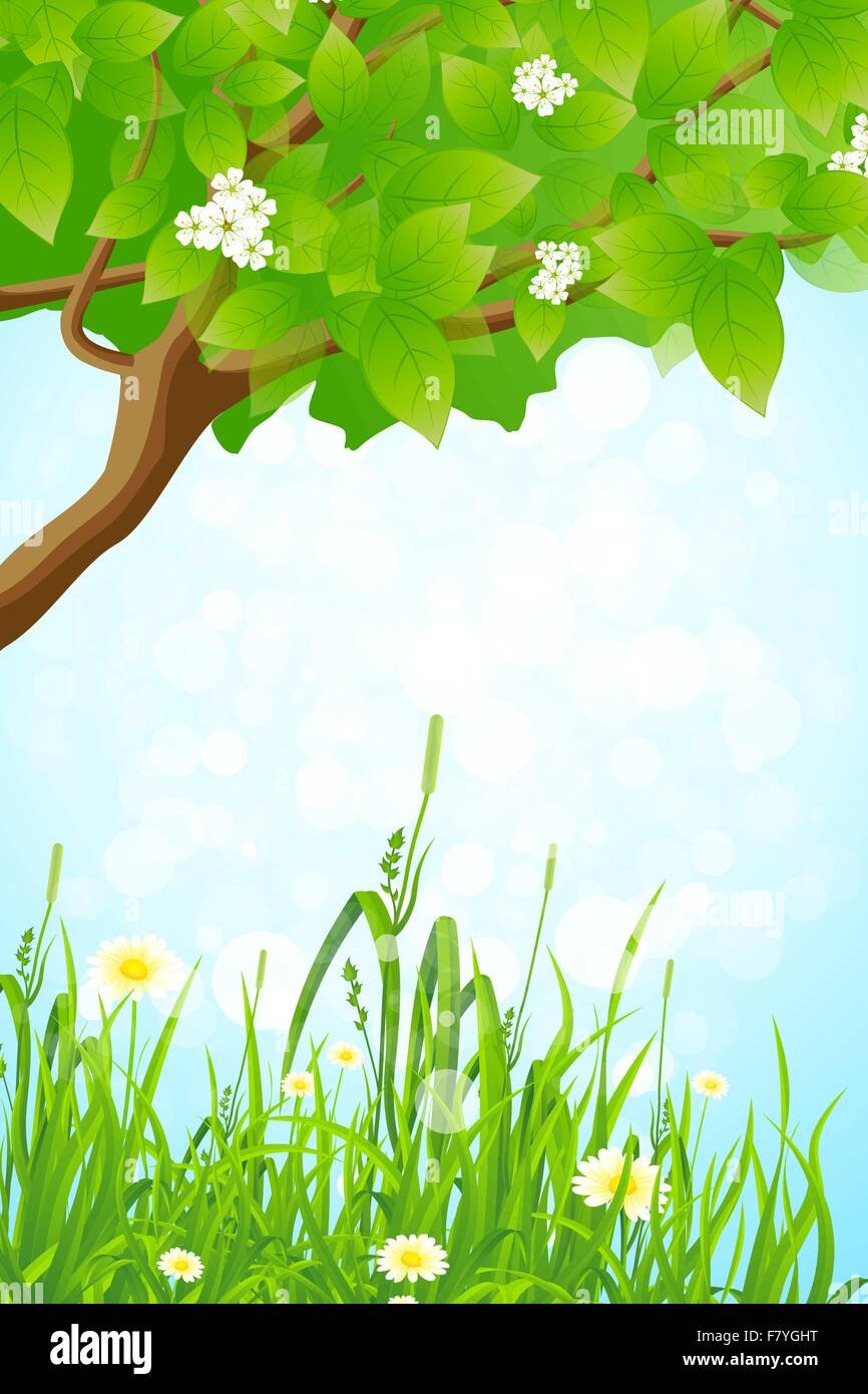 Green Grass and Tree Branch Stock Vector Image & Art - Alamy