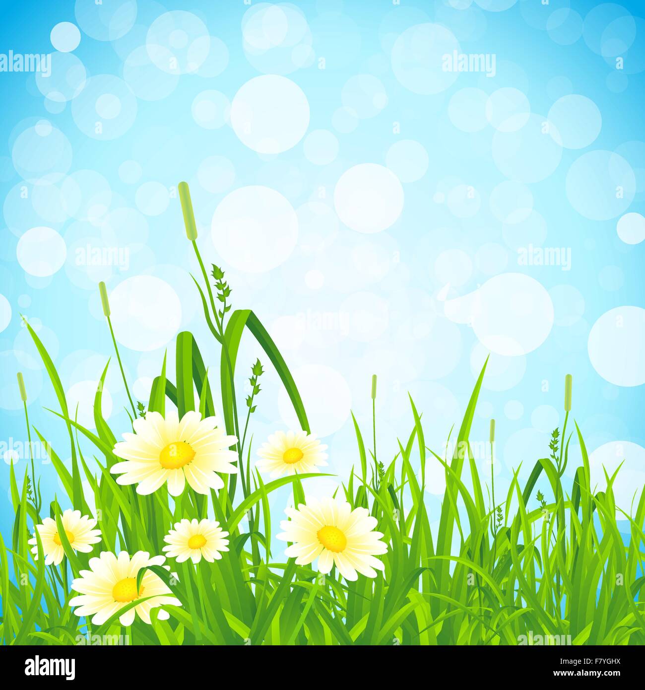 Flowers and Grass Stock Vector Image & Art - Alamy