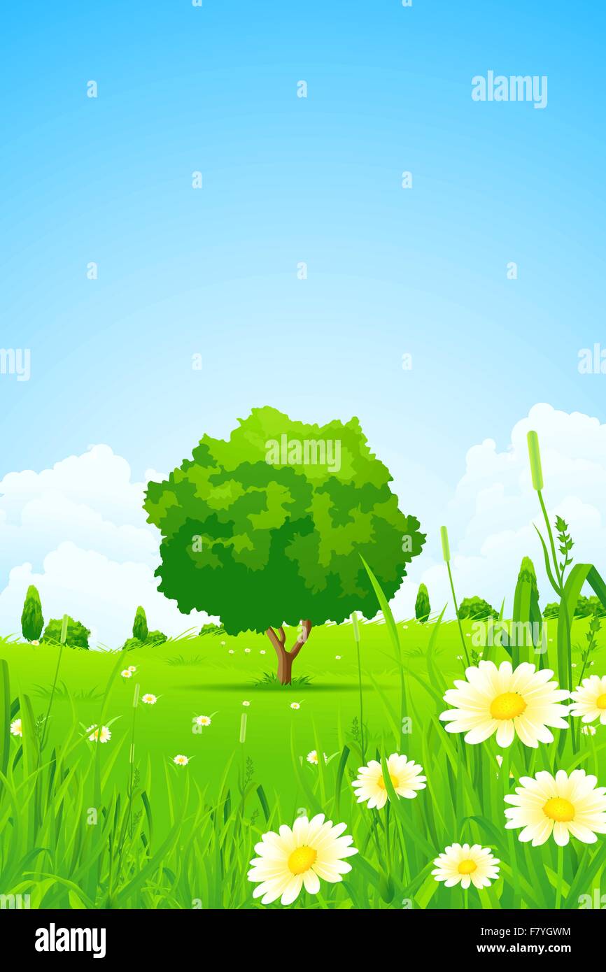 Green Landscape with Trees Stock Vector Image & Art - Alamy