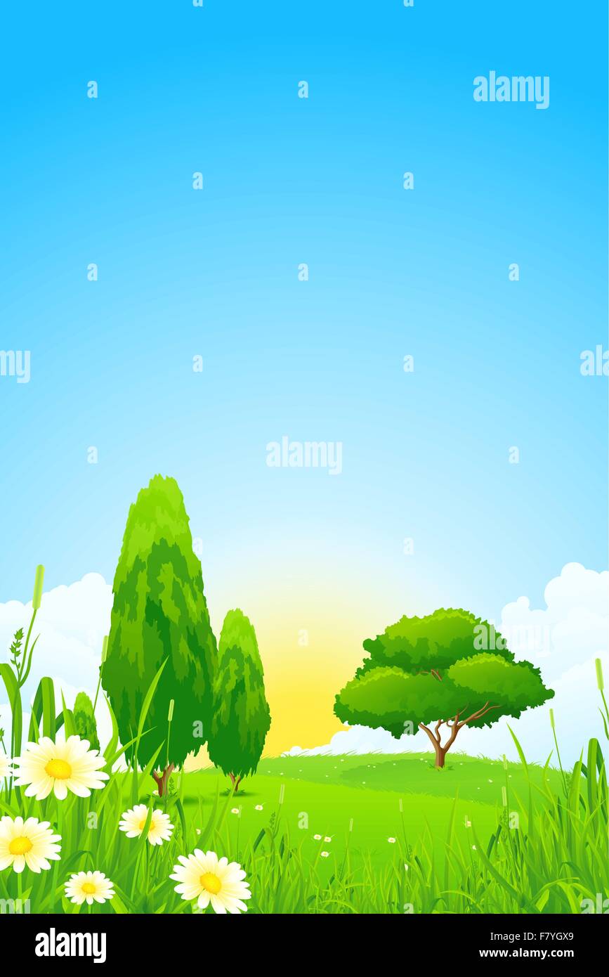 Green Landscape with Trees Stock Vector Image & Art - Alamy