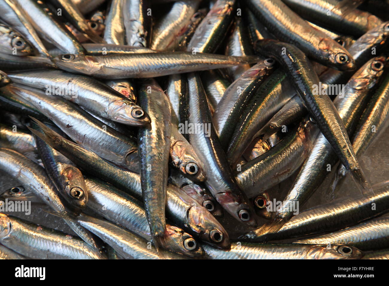 Campo della Pescheria. (Fish Market Venice Stock Photo - Alamy