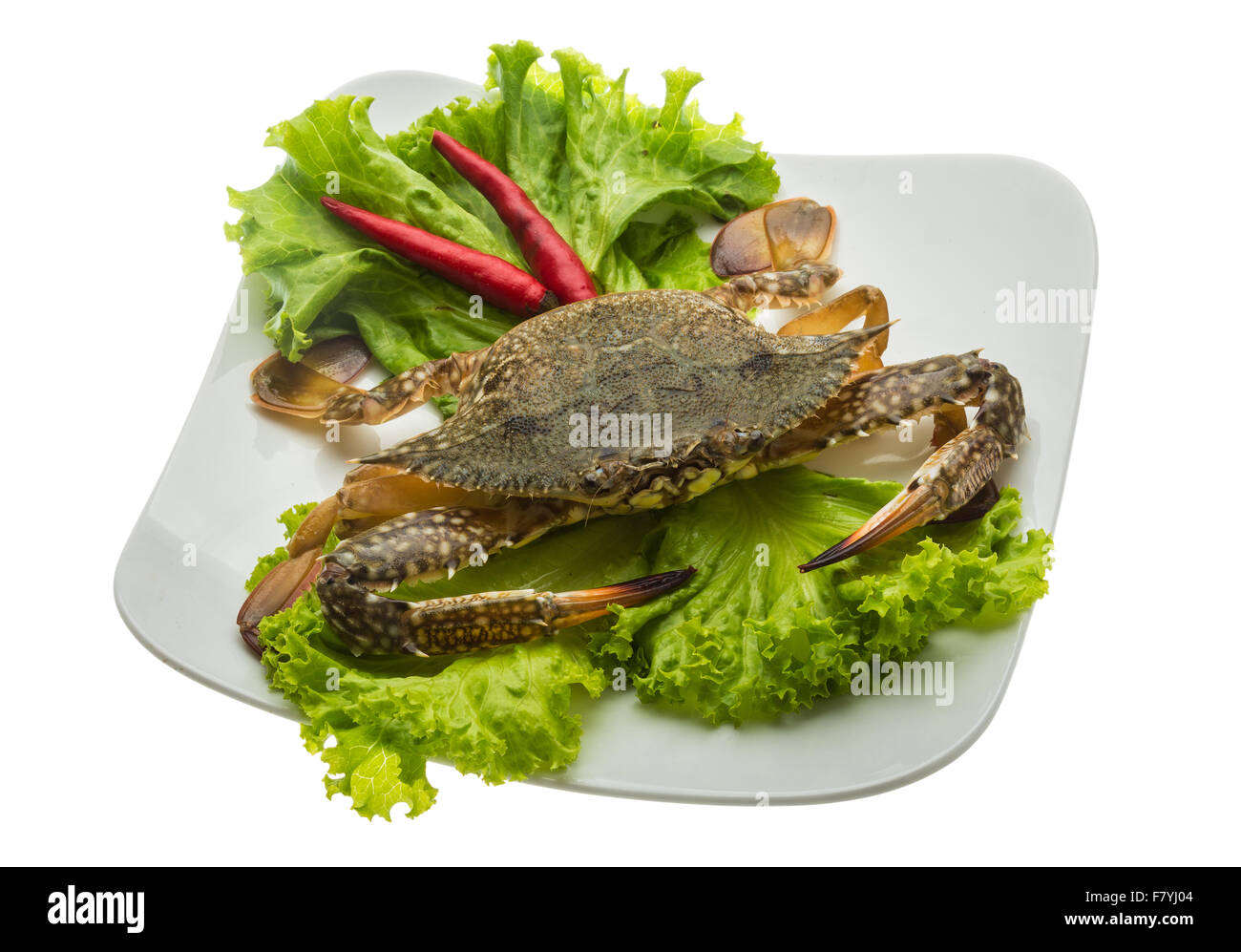 Raw crab ready for cooking Stock Photo - Alamy
