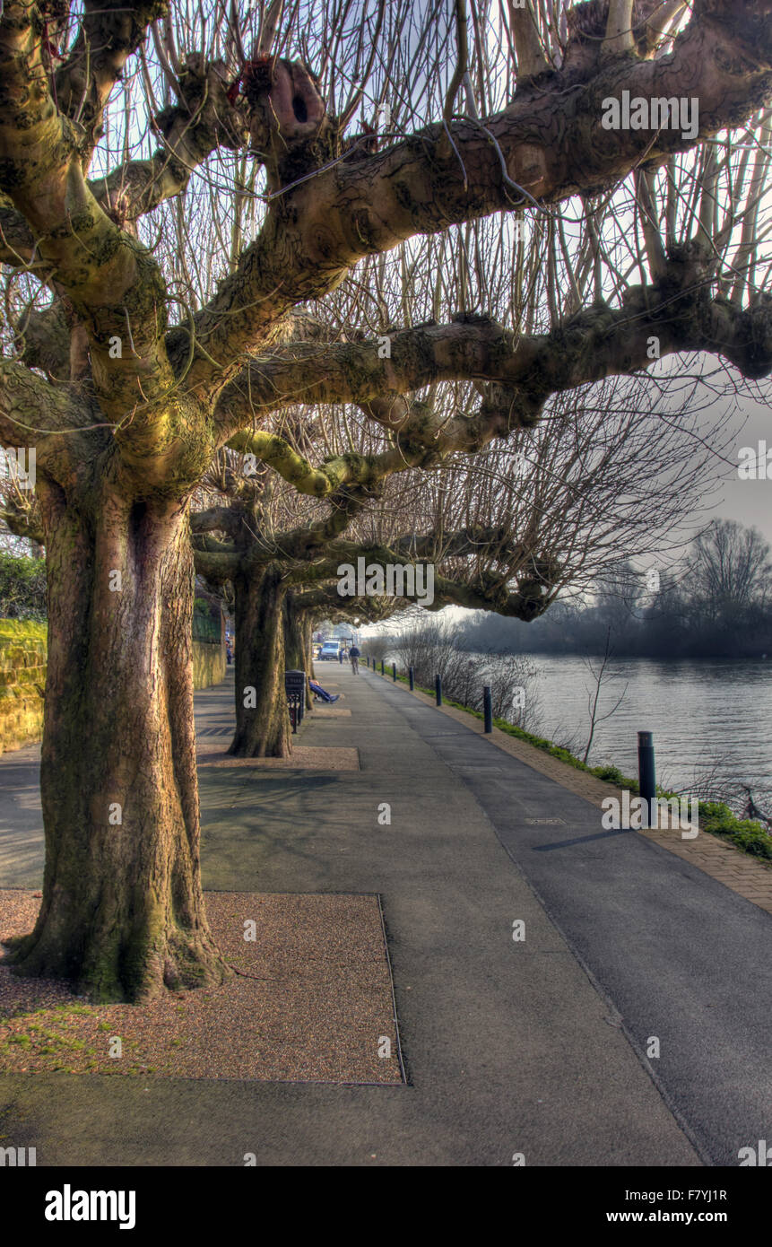 Worcester walking hi-res stock photography and images - Alamy