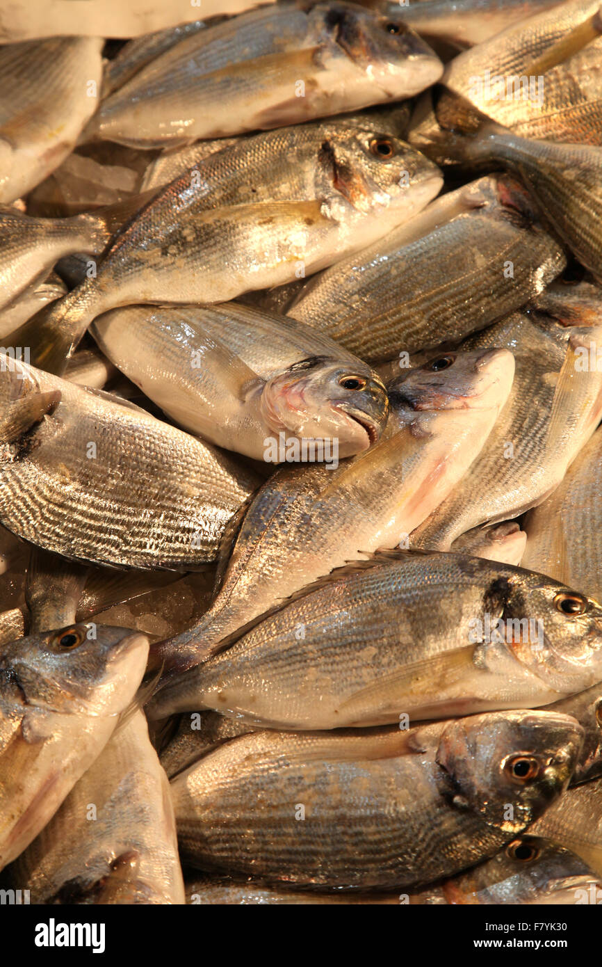 Campo della Pescheria. (Fish Market Venice Stock Photo - Alamy