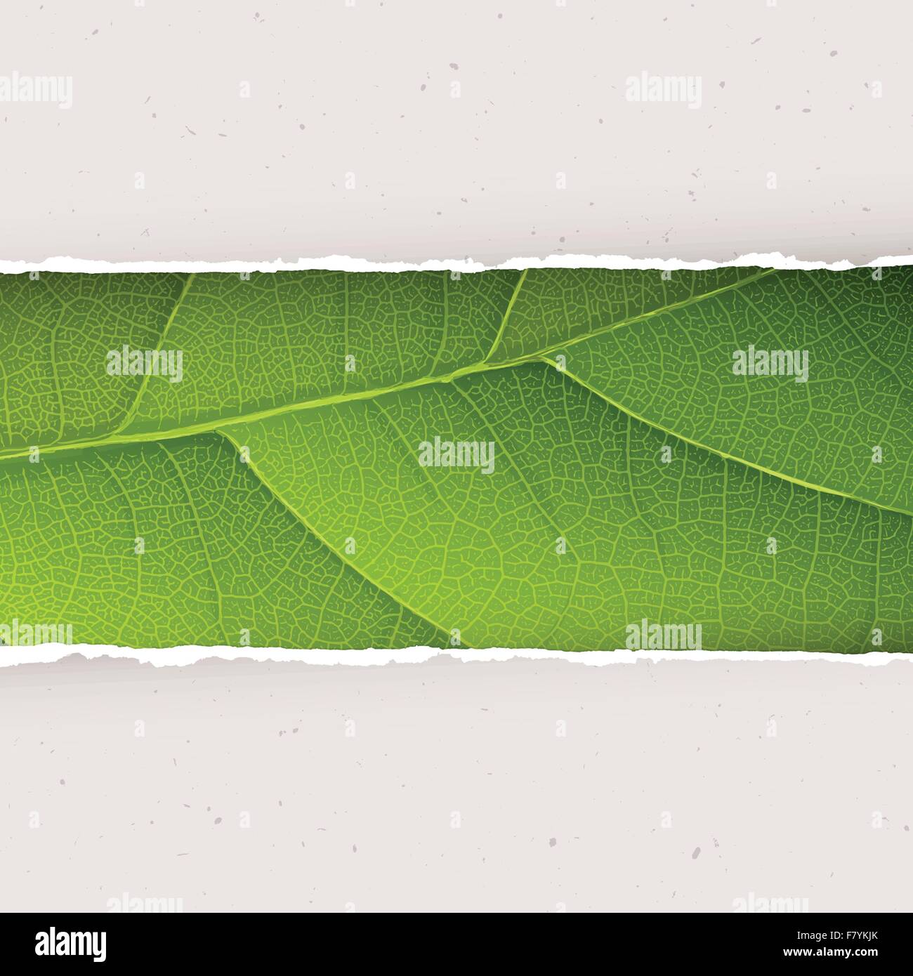 Bamboo plates Stock Vector Images - Alamy