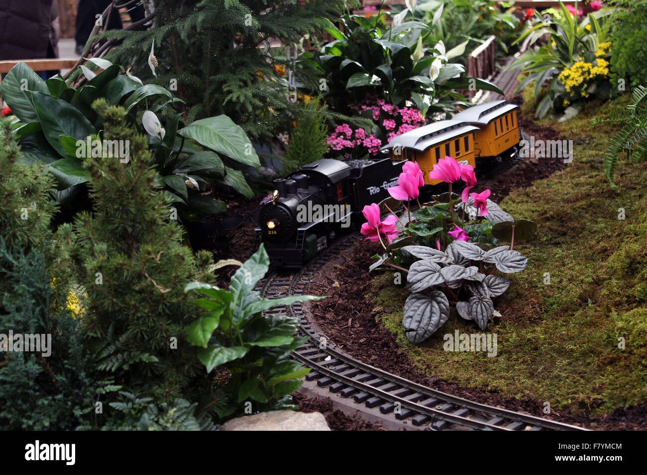 Botanical garden bronx train hi-res stock photography and images - Alamy