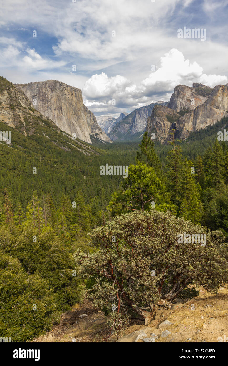 Famous tunnel view in Yosemite National Park, USA Stock Photo - Alamy