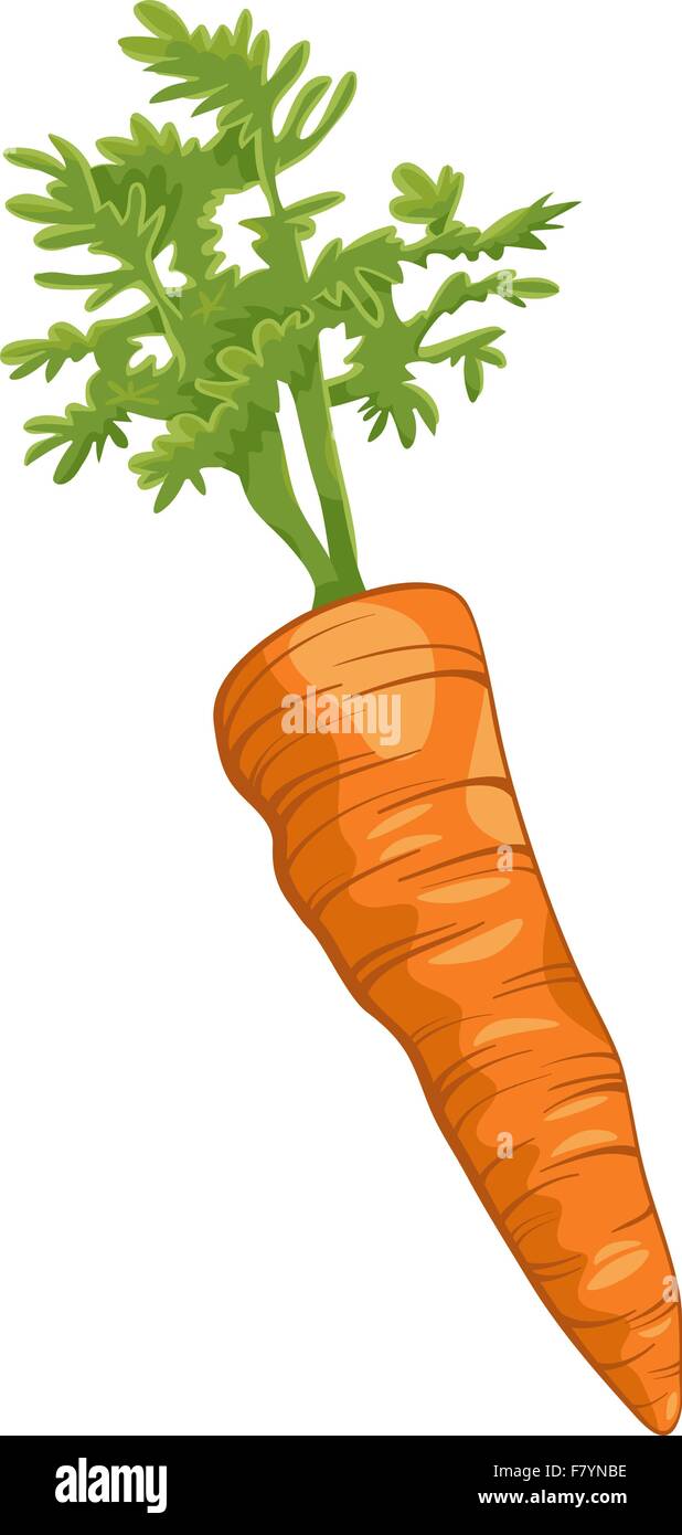 carrot root vegetable cartoon illustration Stock Vector Image & Art - Alamy