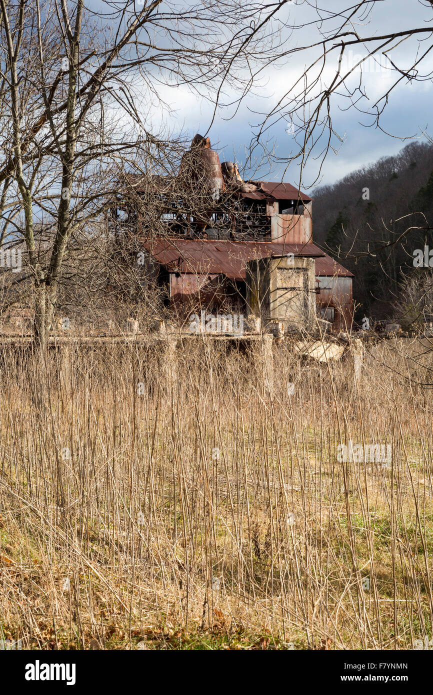Cass, West Virginia - The ruins of the West Virginia Pulp and Paper ...