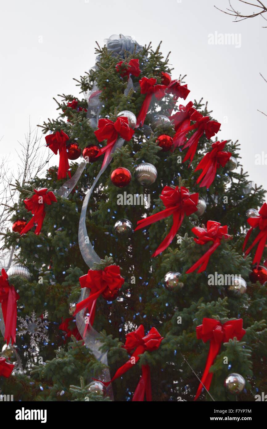 Outdoor Christmas Tree Stock Photo - Alamy