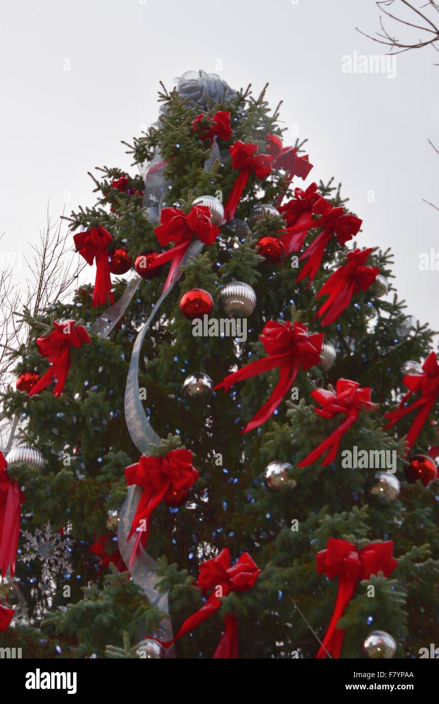 Tall christmas tree hi-res stock photography and images - Alamy