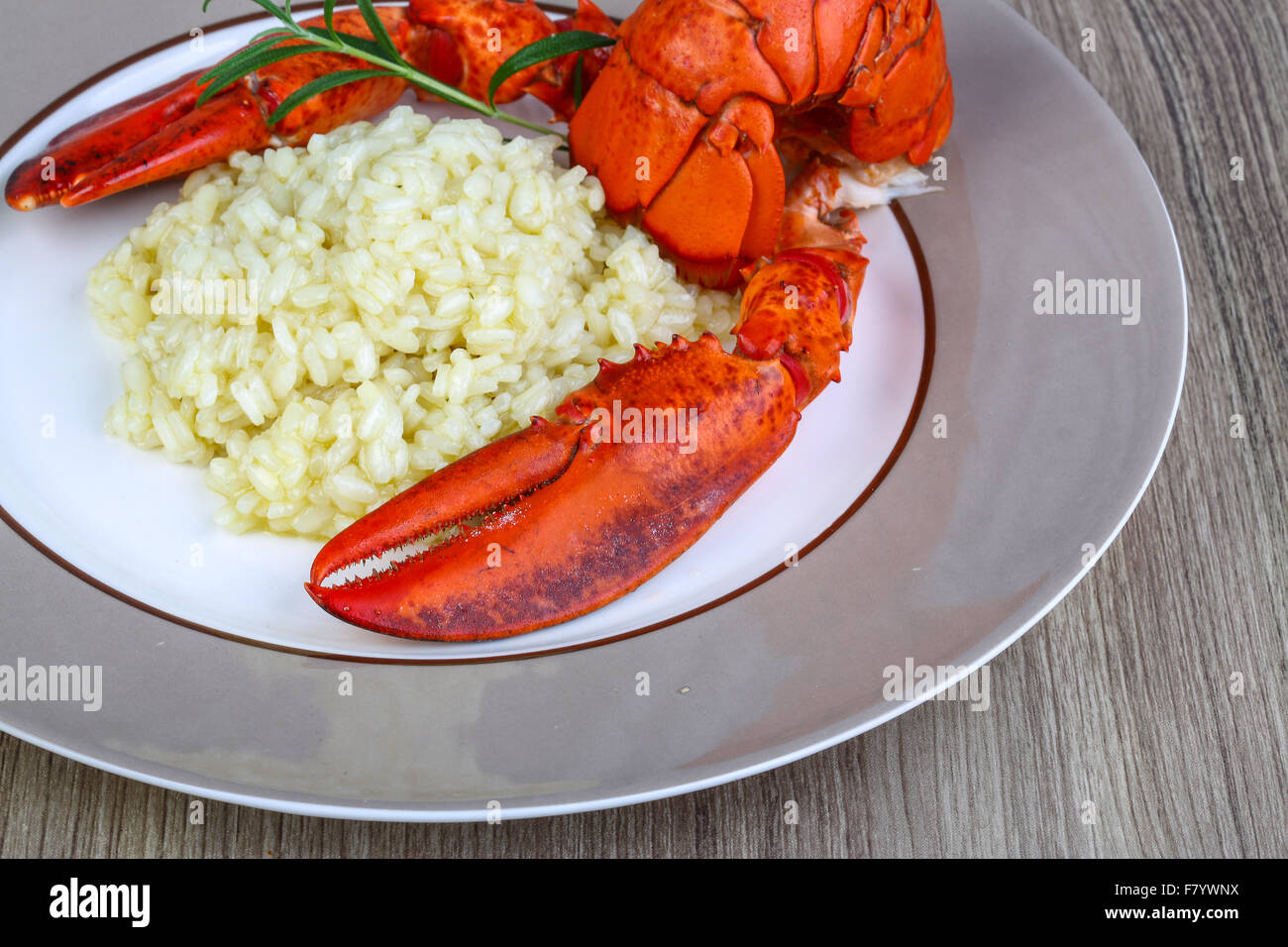 Delicous Risotto with lobster served rosemary and parmesan Stock Photo ...
