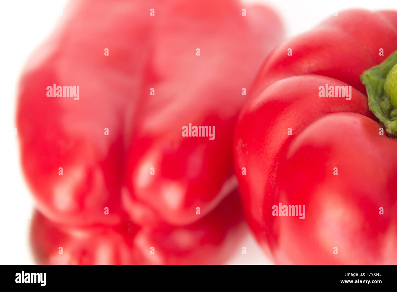 red bell Pepper closeup, paprika / capsicum / sweet pepper Stock Photo ...