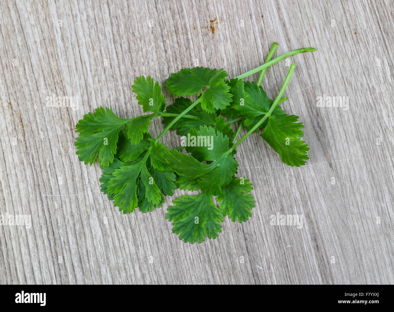Fresh Green coriander leaves on the wood background Stock Photo - Alamy