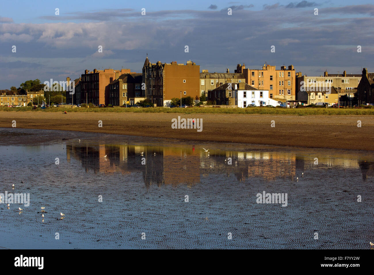 Musselburgh beach hi-res stock photography and images - Alamy