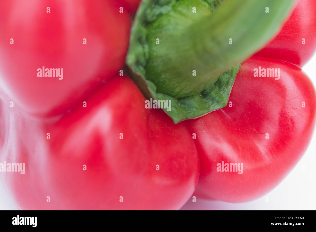 red bell Pepper closeup, paprika / capsicum / sweet pepper Stock Photo ...