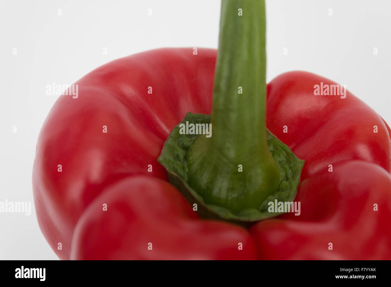 Bell pepper, also known as sweet pepper or a pepper (in the United ...